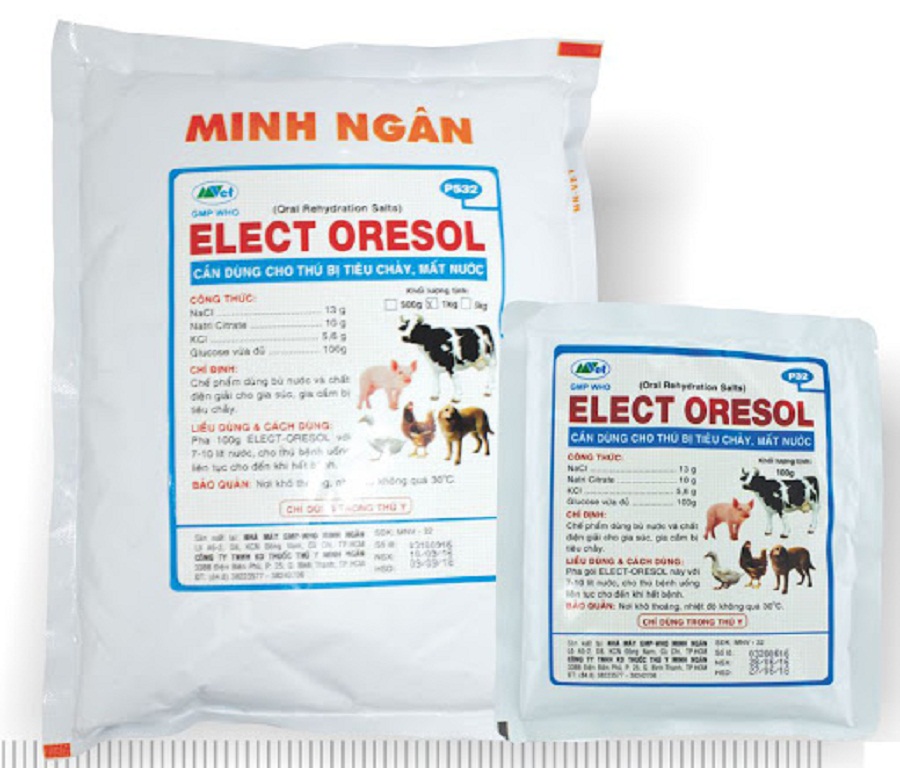 Bò bị tiêu chảy người chăn nuôi không nên chủ quan